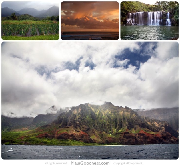 Hawaiian Islands Guide - Maui Goodness