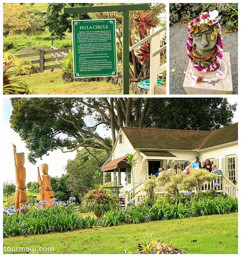 Maui Wine and Ulupalakua Ranch - Maui Goodness