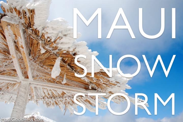 Freak Snow Storm Hits Hawaii! - Maui Goodness