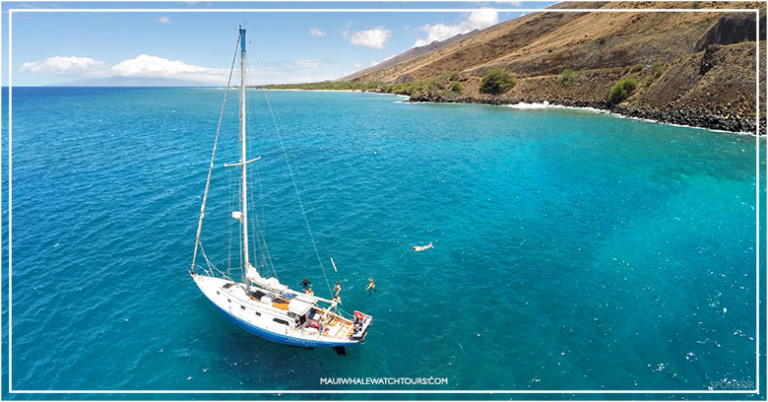 25 Ways To Support Local On Maui - Maui Goodness